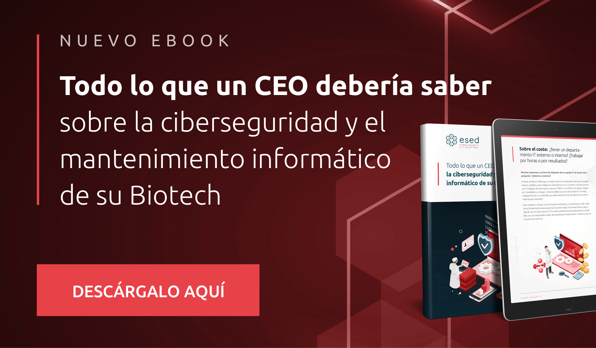 Ciberseguridad y el Mantenimiento Informático en el sector Biotech